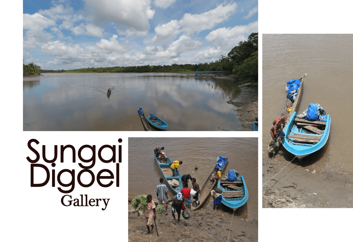 Sungai Digoel – KABAR PORT NUMBAY
